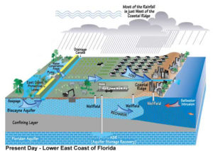 12: Environmental Impact - The Everglades Restoration Project - Captain ...
